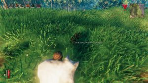 Valheim - How to Plant Trees and Farm Seeds