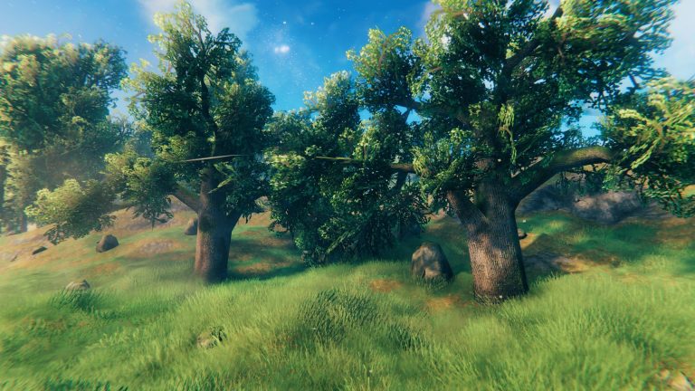 Valheim - How to Plant Trees and Farm Seeds